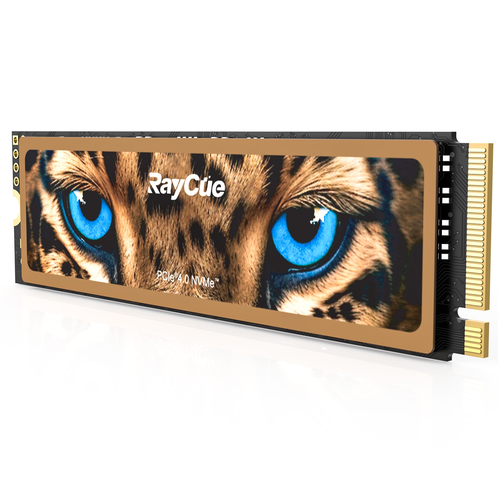 RayCue Panther 7450MB/s PCIe 4.0 NVMe M.2 SSD