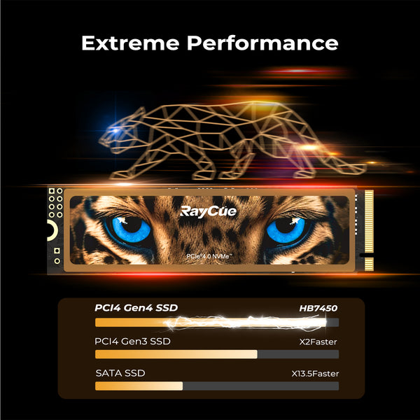 RayCue Panther 7450MB/s PCIe 4.0 NVMe M.2 SSD